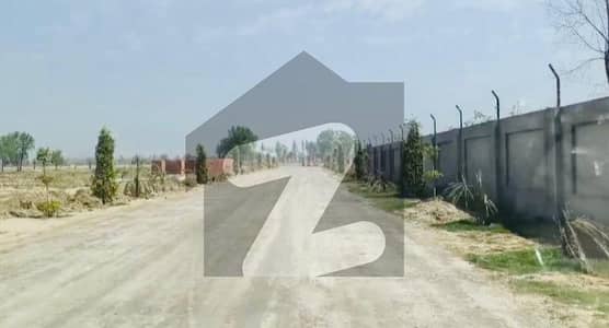 Farm Houses for Sale in Bedian Road Lahore - Zameen.com