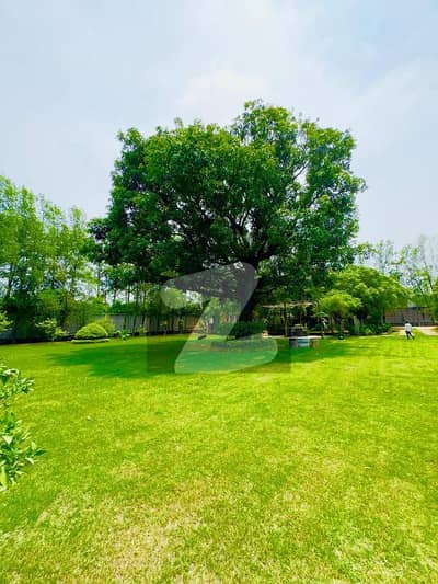 8 Kanal Beautiful Farmhouse Plot Thethar, Lahore ID50530053 - Zameen.com