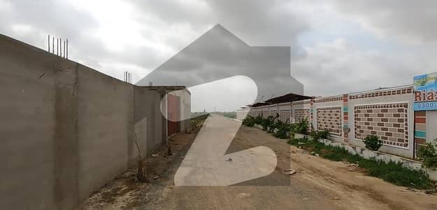 6000 Square Yards Farm House In Dua Green Farmhouse Gadap Town Dua ...