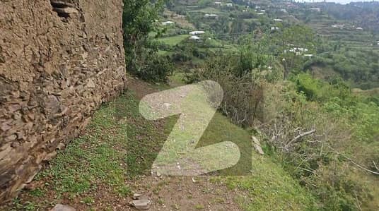 Juat 9 KM from Motorway Interchange 150 Kanal Abbottabad Road ...