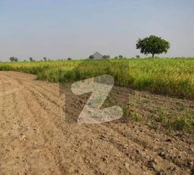 750 Kanal Land Main GTRiad Mandra, Rawalpindi ID51389053 - Zameen.com