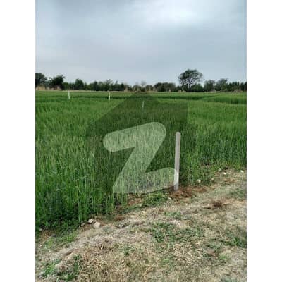 New Demarcated Plot On 50 Feet New Road Chakbeli Road, Rawalpindi ...