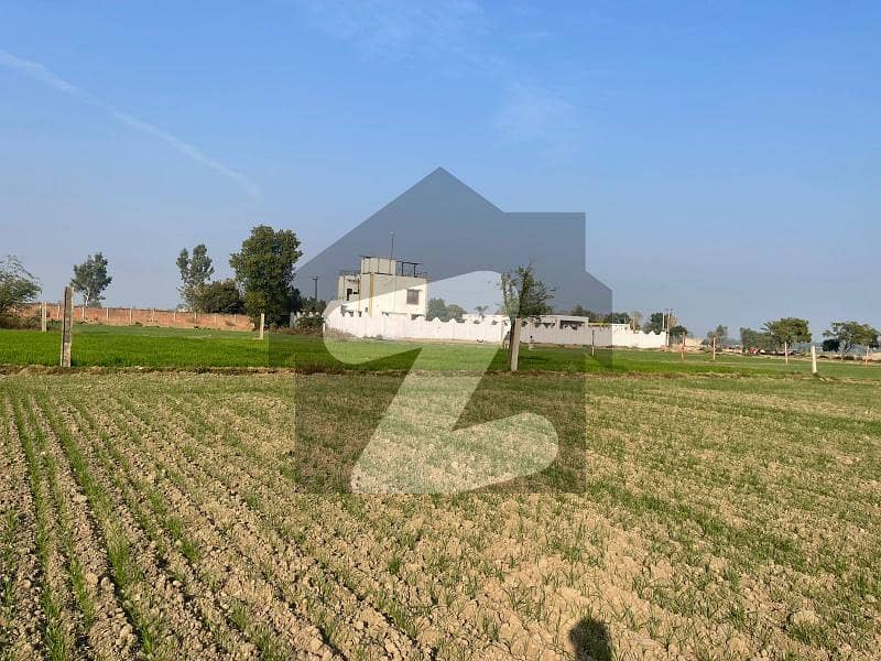 Paper In Hand Intaqal Registry Land Selling Granted Future Best ...