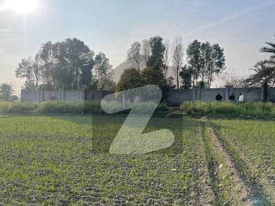 Paper In Hand Intaqal Registry 2 Kanal Granted Future Best Investment ...