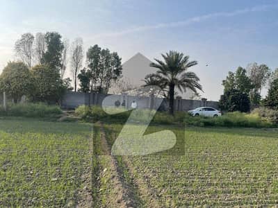 Paper In Hand Intaqal Registry 2 Kanal Granted Future Best Investment ...