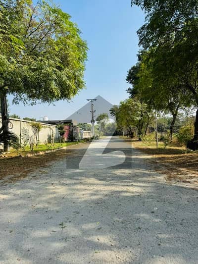 Paper In Hand Intaqal Registry 2 Kanal Granted Future Best Investment ...