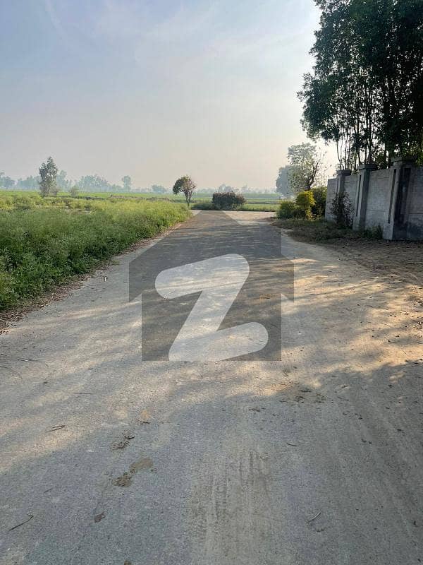 Paper In Hand Intaqal Registry 2 Kanal Granted Future Best Investment ...