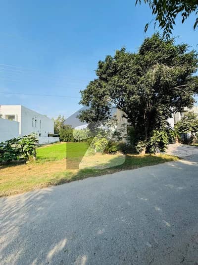 Paper In Hand Intaqal Registry 2 Kanal Land Selling Granted Future Best ...