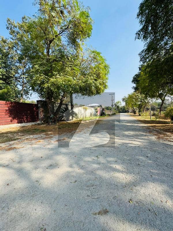 Paper In Hand Intaqal Registry 2 Kanal Land Selling Granted Future Best ...