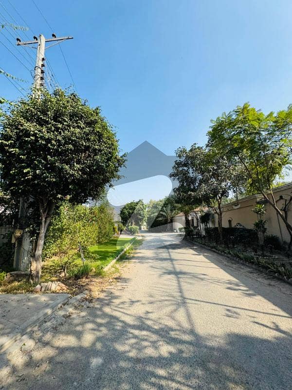 Paper In Hand Intaqal Registry 2 Kanal Land Selling Granted Future Best ...