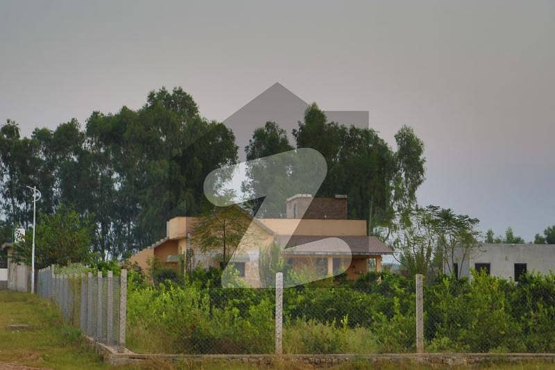 10 Kanal Farm House Plot Available in Neela Dulla Neela Dullah ...