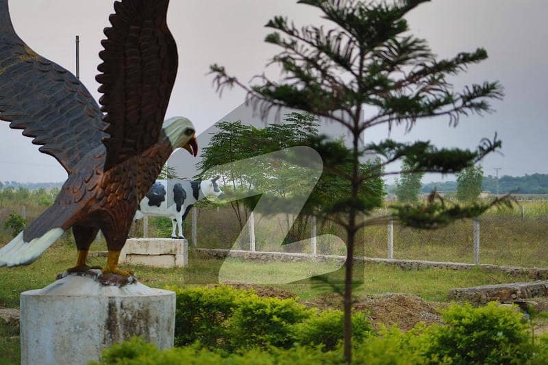 10 Kanal Farm House Plot Available in Neela Dulla Neela Dullah ...