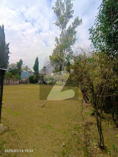 F11 Such A Amazing Location What A Outstanding Lower Ground With 2 ...