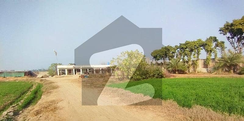 Idyllic Farm House Available In Jati Umra Road For sale Jati Umra Road ...