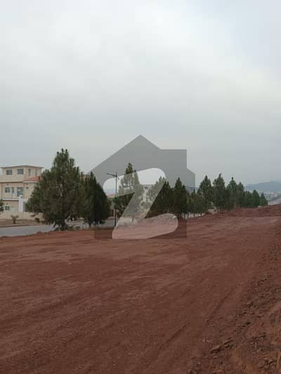 Sector M, New Deal 7.5 Marla Boulevard Plots Back Open Solid Land New ...