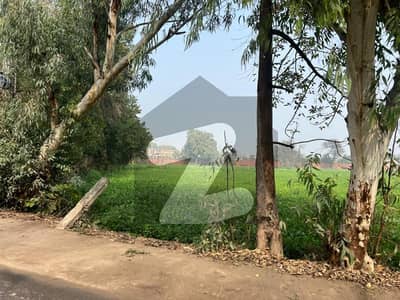 2 Kanal Super Hot Ideal Location Farm House Land For Sale On Main Bedian Road Bedian Road ...