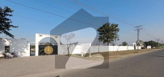 Prime 275 Feet Frontage Property On Barki Road Luxurious Single-Storey ...