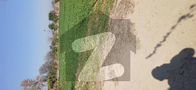 15 kanal Corner Frezpur road Lalyani kanal Drain view District Qasur ...