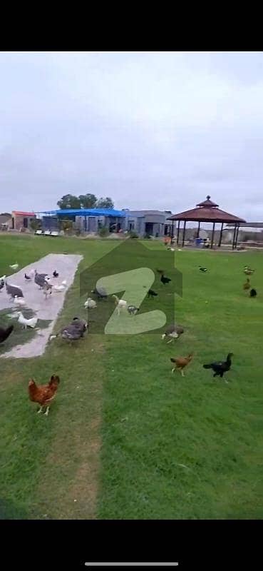 Dua Greens 1 Acre Luxury Farmhouse Available for sale Dua Green ...