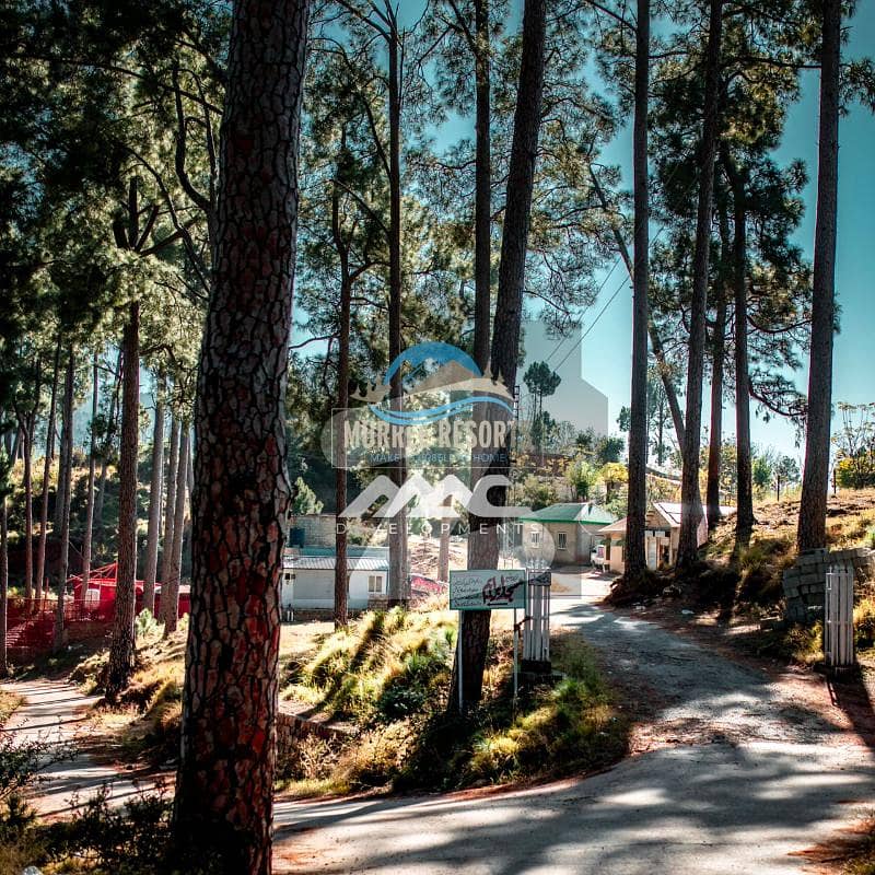 This Is Your Chance To Buy Residential Plot Near Patriata Chairlift New ...