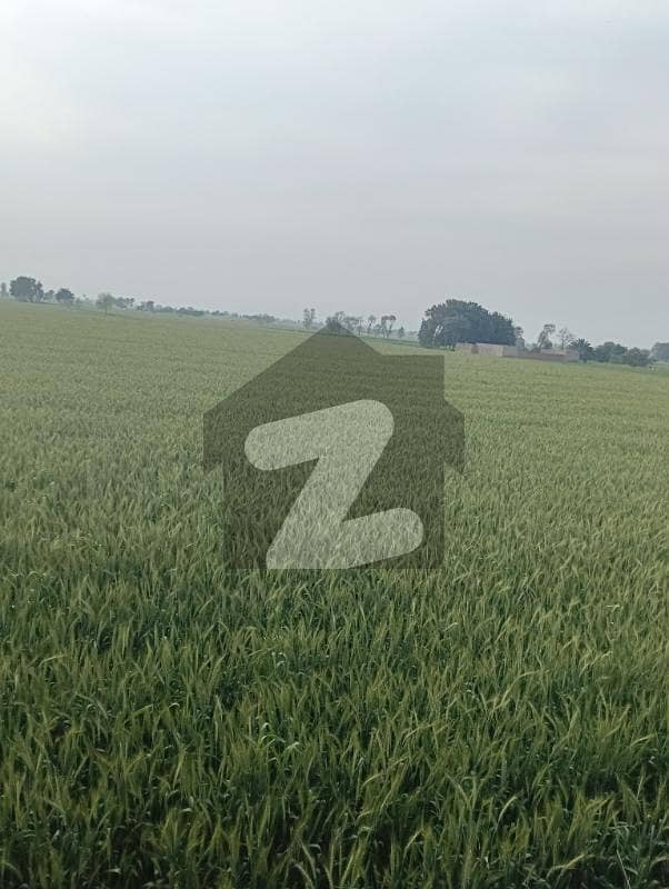 Buy Your Ideal 6000 Kanal Agricultural Land In A Prime Location Of ...