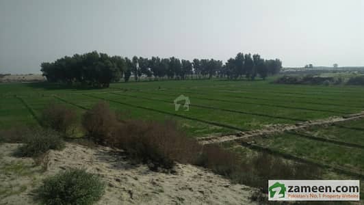 30 Acre Army Allotted Agricultural Land Northern Bypass, Multan ...