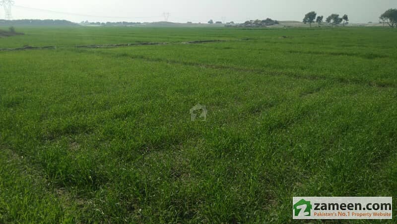 30 Acre Army Allotted Agricultural Land Northern Bypass, Multan ...
