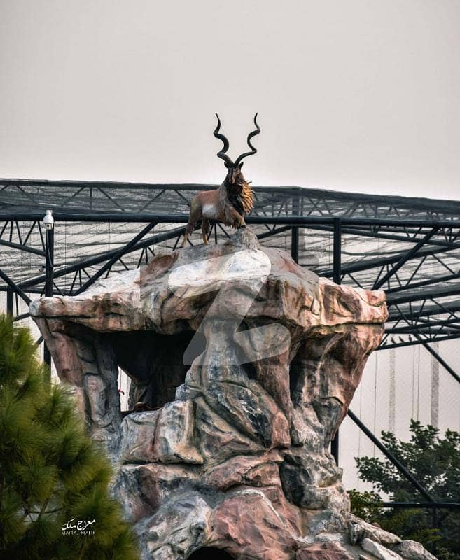 30x60 Ideal Location Solid Land Plot For Sale In B-17 G Block MPCHS ...