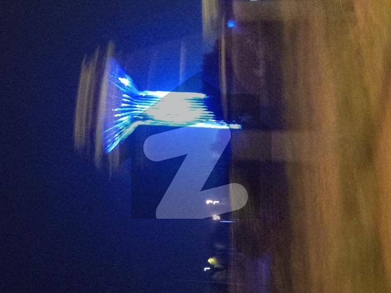 01 Kanal Corner Heighted & Non-Corner Plot For Sale On (Urgent Basis ...