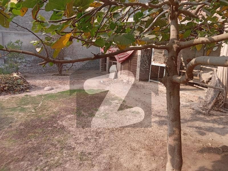 24 marla single story house jatoi street new shalimar multan New ...