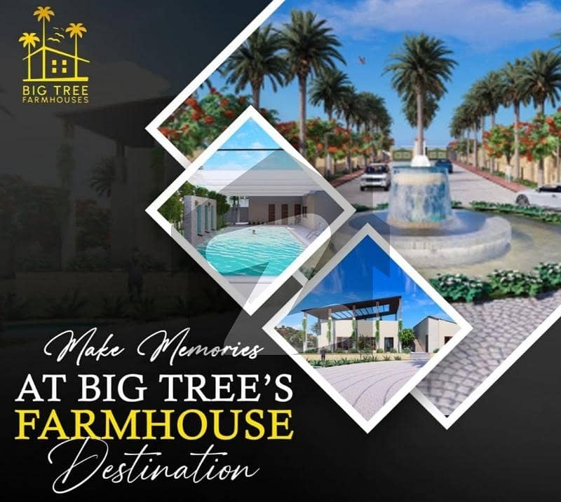 BIG TREE FARM HOUSES PAKISTAN FIRST BOUNDARY WALL FARM HOUSE SOCIETY ...