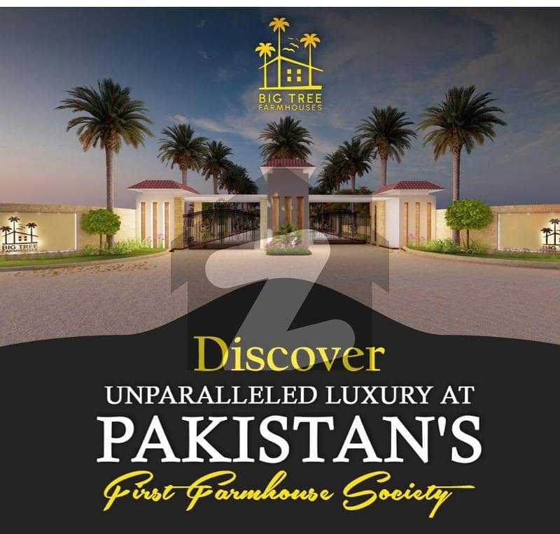 BIG TREE FARM HOUSES PAKISTAN FIRST BOUNDARY WALL FARM HOUSE SOCIETY ...
