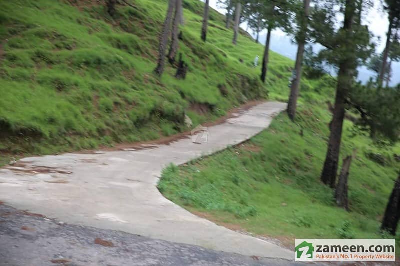 5 Marla Pines Tree Surrounding Plot For Sale In New Murree Resorts ...