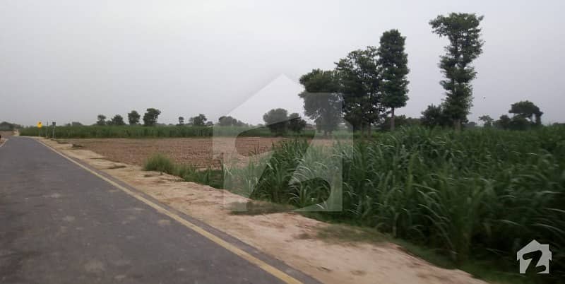 Agriculture Land Renala khurd Shergarh Road Chak No 28AL Renala Khurd ...