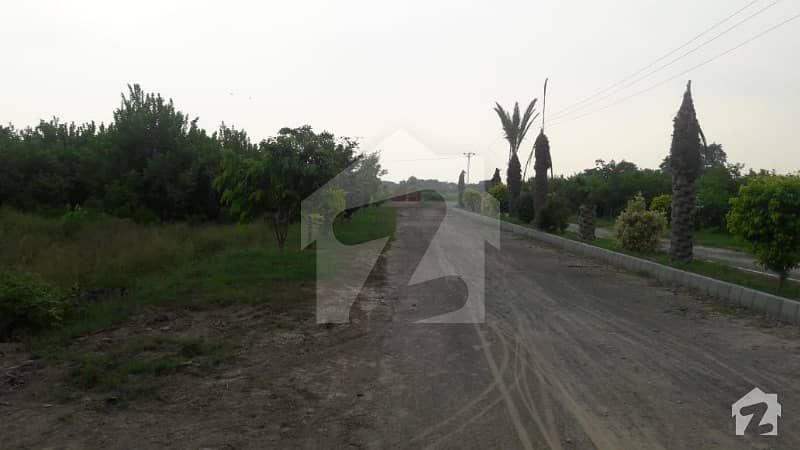 8 Kanal Corner Farm House Land In Barki Road Near Dha Phase 7 Lahore ...