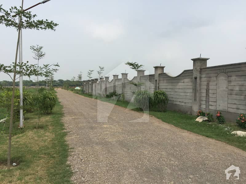 8 Kanal Corner Farm House Land in Barki Road AFTER CROSSING ROHI NALA ...