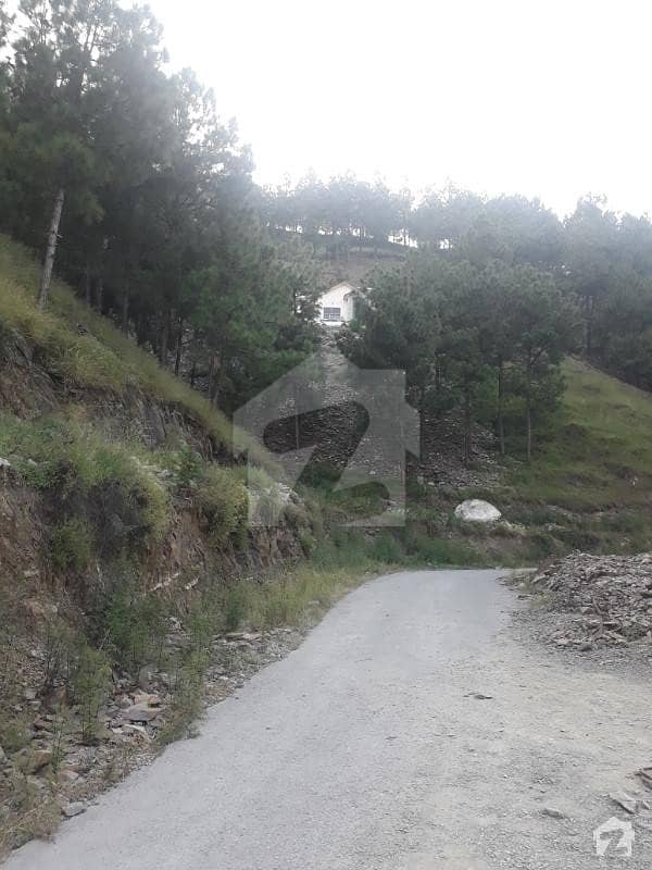 1 Kanal City View Plot In Kaghan Colony Kaghan Colony, Abbottabad ...