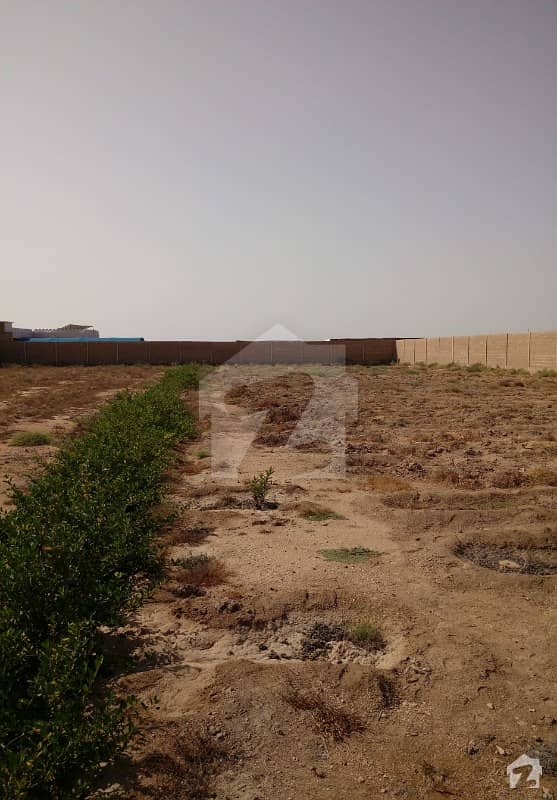 2 Acre Land Jamani Goth Gadap Town Gadap Town, Karachi ID12501384 ...