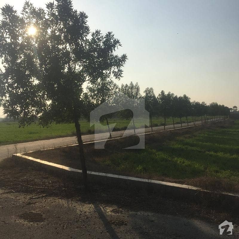 Farm Lands For Sale at Barki Road Lahore Barki Road, Cantt, Lahore ...