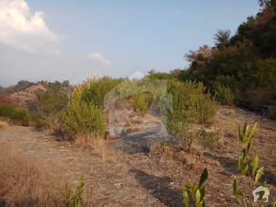 25 Kanal Land Available on Main Simly Dam Road Simly Dam Road ...