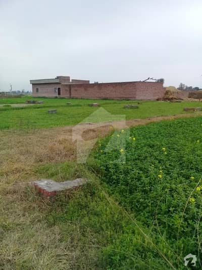 10 Marla Plot For Sale Sambrial, Sialkot ID14613536 - Zameen.com