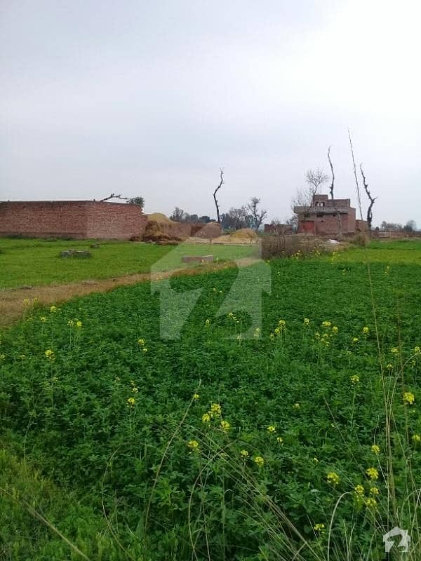 10 Marla Plot For Sale Sambrial, Sialkot ID14613536 - Zameen.com