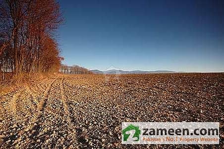 Land In Panwan Gwadar 50 Thousand Per Acre Gwadar ID572014 - Zameen.com