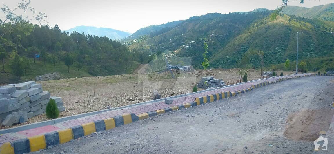 We Are Offering An Outstanding Investment Opportunity Silk Valley ...