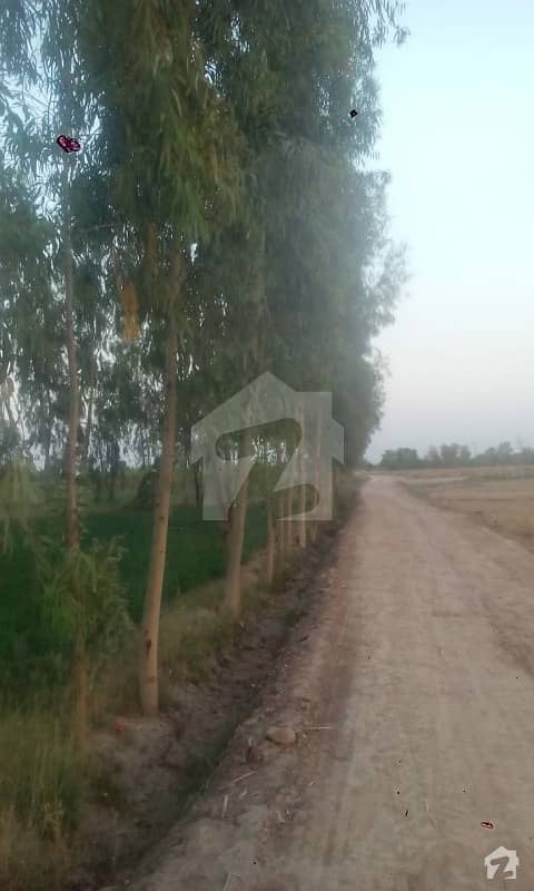 Agricultural Land For Sale On Very Low Price Shahpur, Sargodha ...