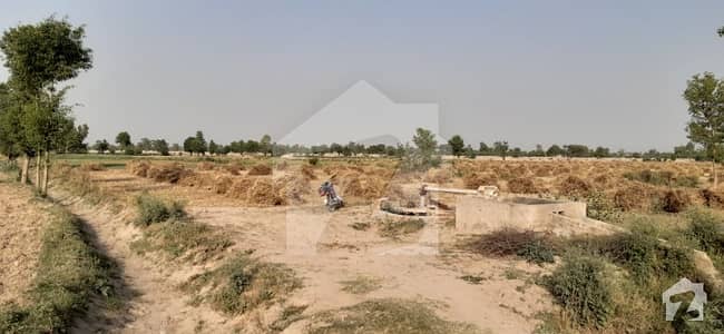 Agriculture Land For Sale In Village 212 GB Near Khiderwala Samundri ...