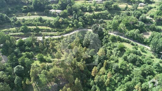 Highly Scenic View 3 Kanal Plot For Sale In Murree Darya Gali, Murree ...