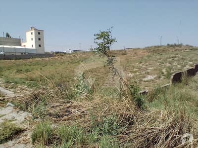 Land For Sale On Jhang Road Jhang Road, Faisalabad ID17793800 - Zameen.com