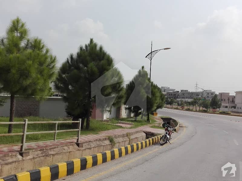 Sector C2 10 Marla New Dew Deal Good Height Location Semi Develop ...