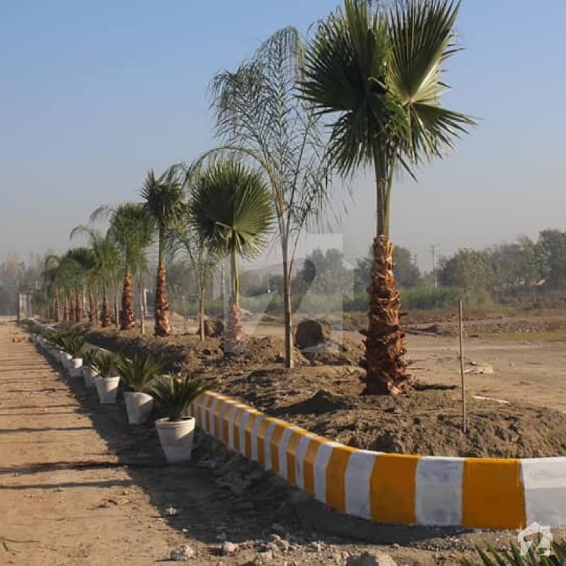 5 Marla Plot Is Available For Sale - Pakhtunkhwa Housing Society Others ...
